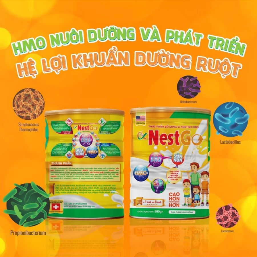 Sữa bôt Alpha Nest Go Kids